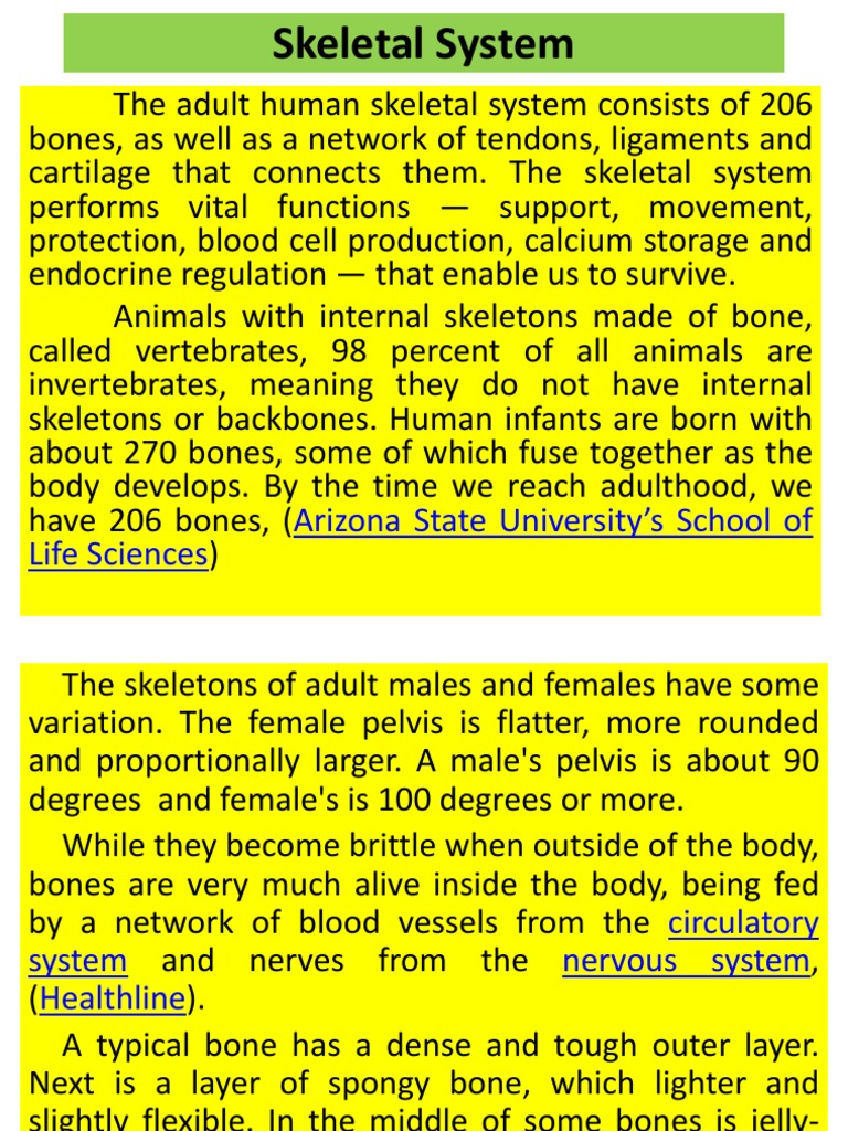 Skeletal System: Arizona State University's School of Life Sciences ...
