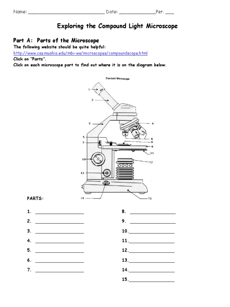 Microscope Webquest 9 | Download Free PDF | Lens (Optics) | Atomic