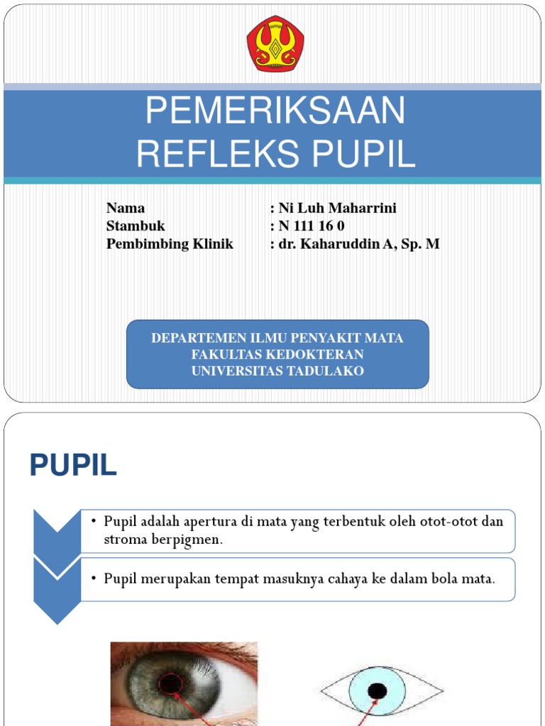 Refleks Pupil | PDF