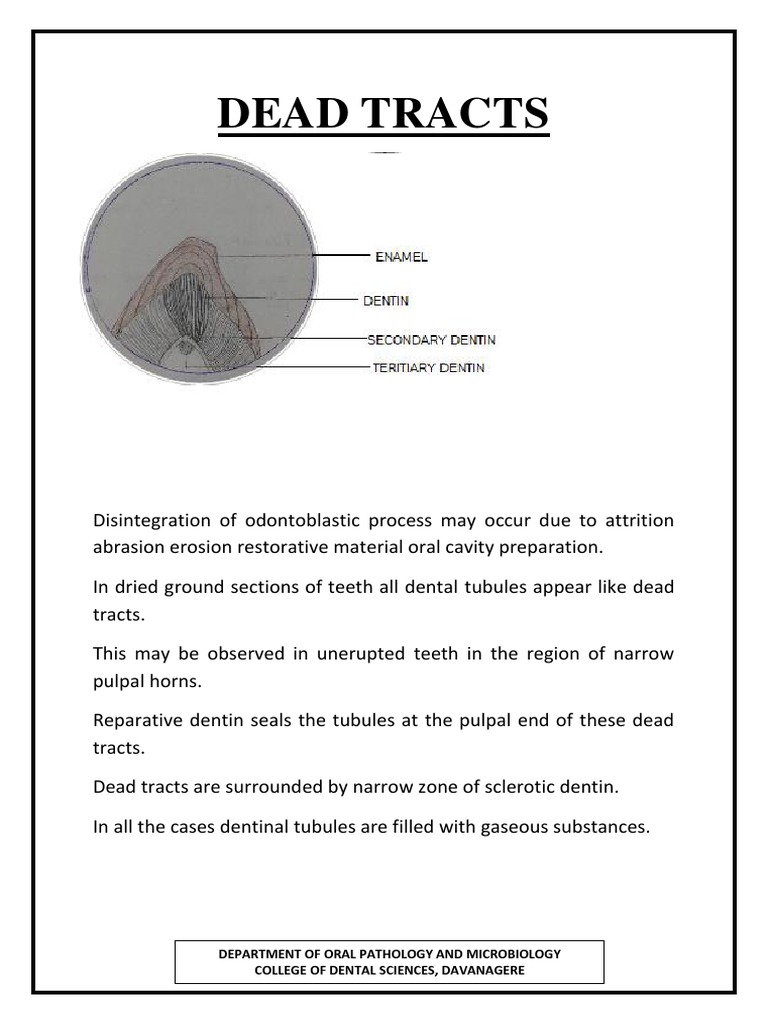Dead Tracts | PDF | Language Arts & Discipline | Foreign Language Studies