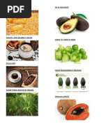 Animales Dosmesticos en Xinca | PDF | Cocina, comidas y vino