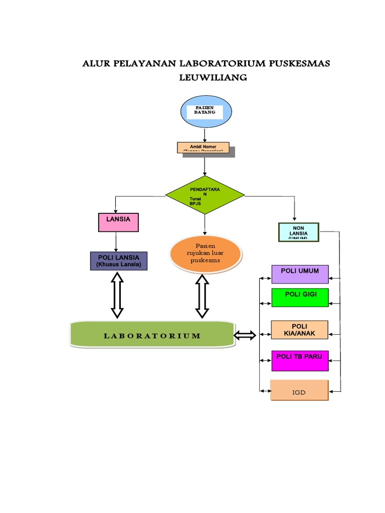 8.1.1.1.alur Pelayanan Lab | PDF