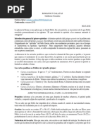 Serie Fe y Acción | PDF