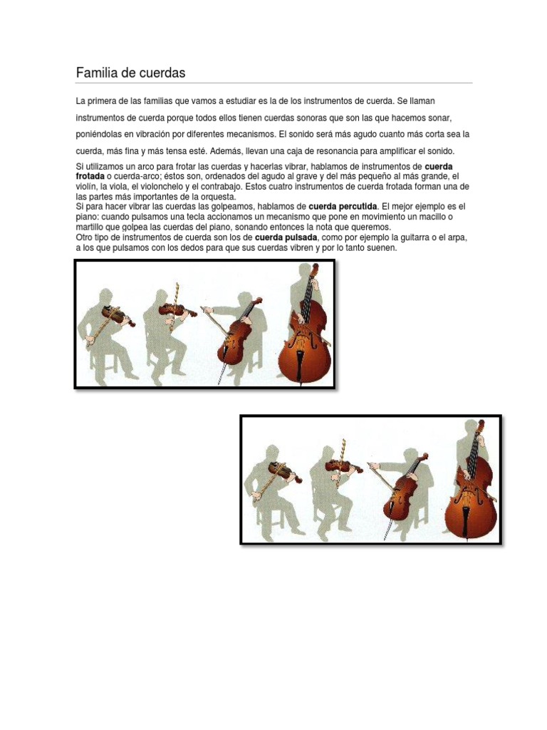 Familia Musical | PDF | Instrumentos de cuerda | Instrumentos de latón