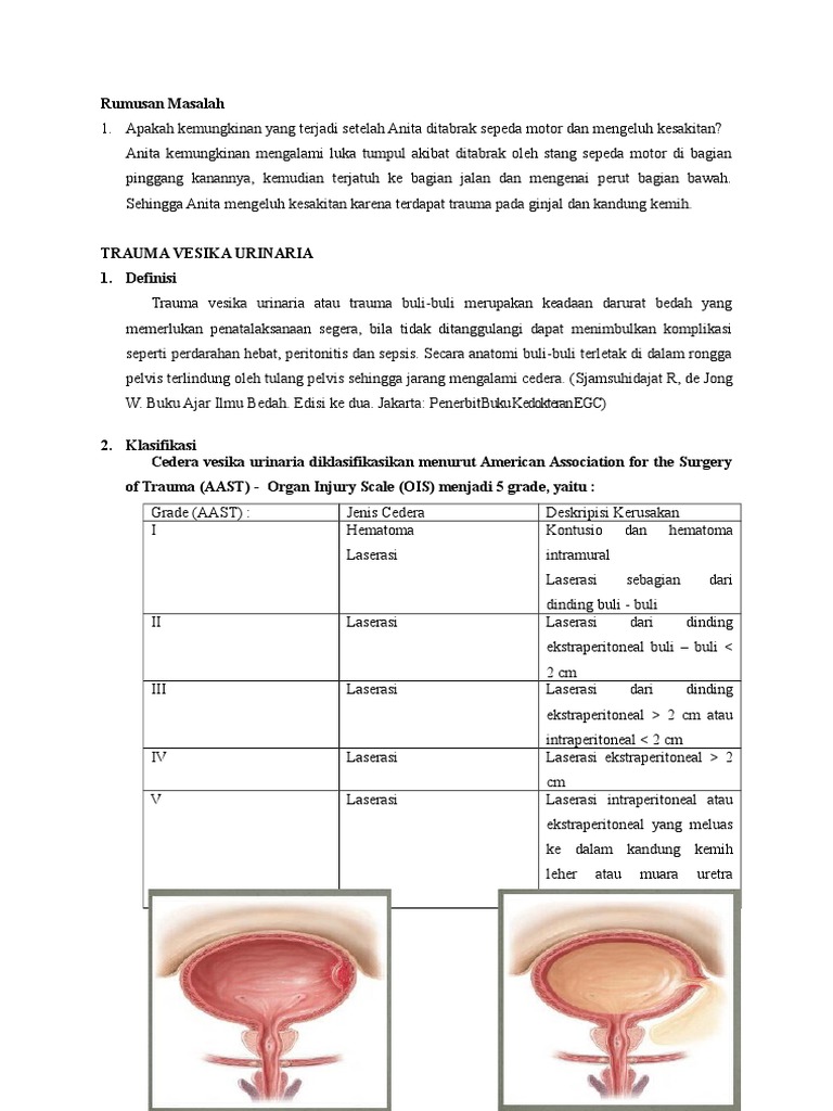 Trauma Buli Buli | PDF