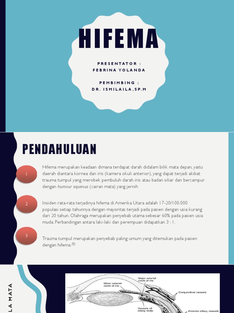 Hifema: Diagnosis dan Penanganan | PDF