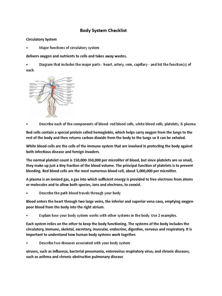Body System Checklist | Download Free PDF | Blood | Respiratory System