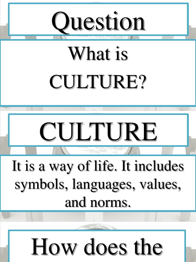 Cultural Evolution of Man | PDF | Stone Age | Neolithic