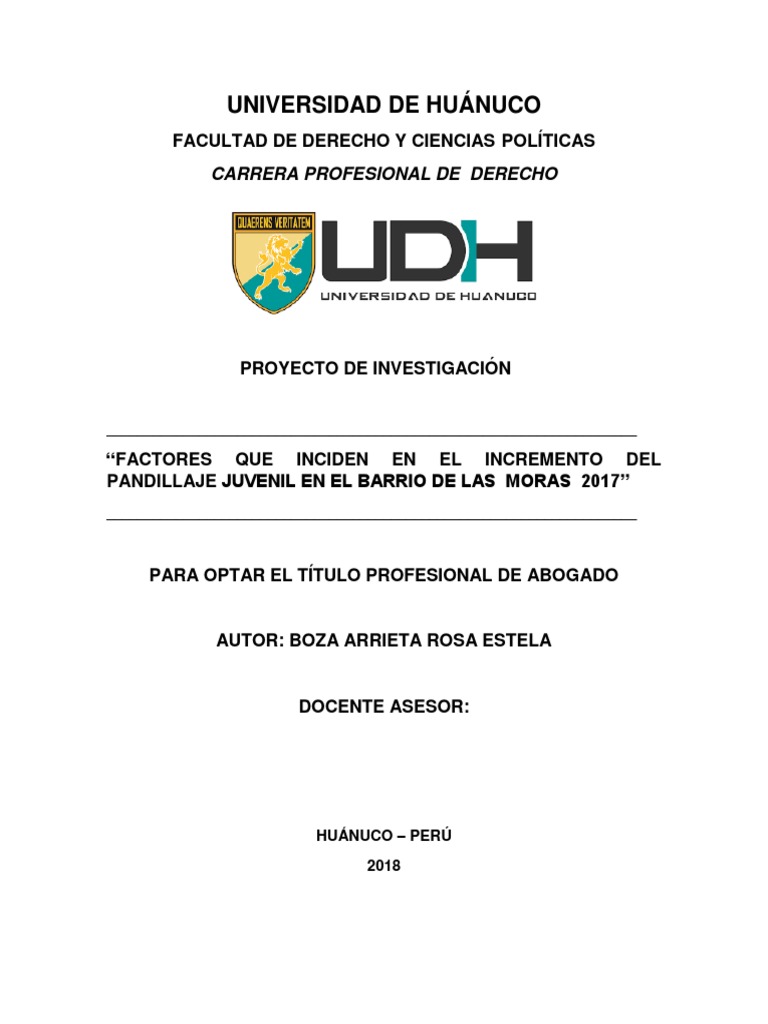 Factores del Pandillaje Juvenil en Huánuco | PDF | Justicia | Crimen y ...