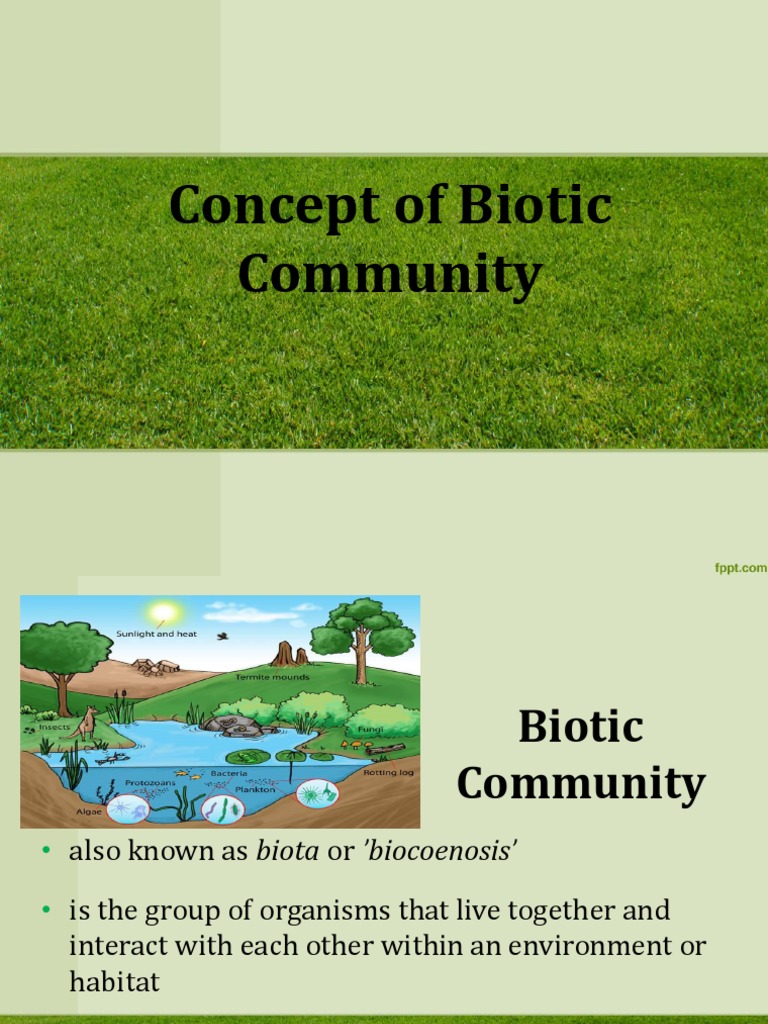Concept of Biotic Community | PDF | Ecology | Reproduction