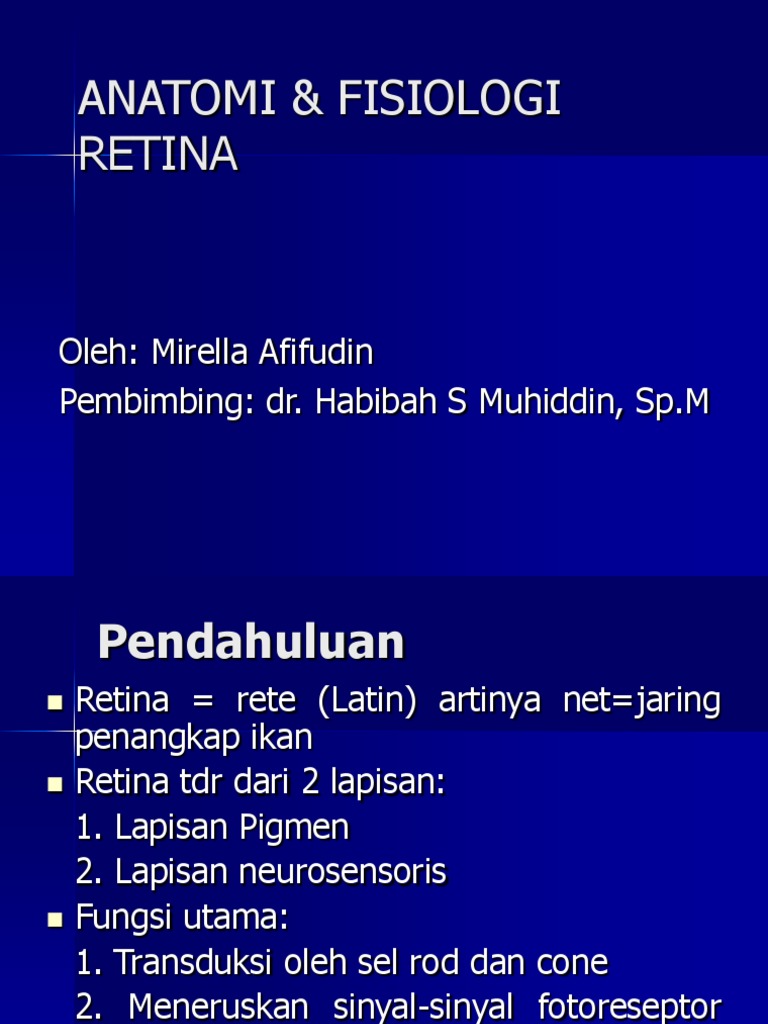 Anatomi dan Fisiologi Retina | PDF