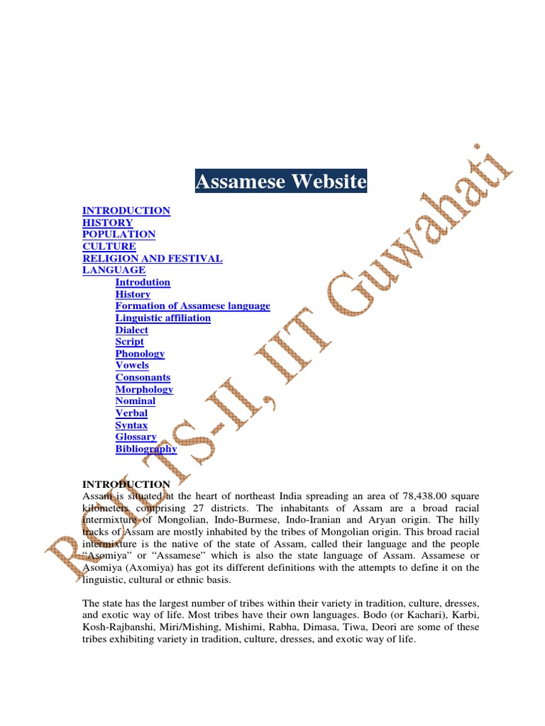 Assamese PDF | PDF | Grammatical Tense | Grammatical Gender