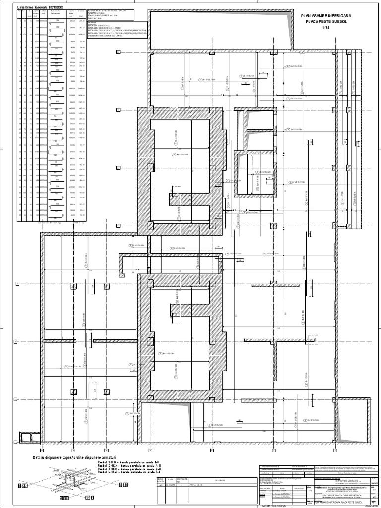 Rf12 Plan Armare Inferioara Placa Peste Subsol | PDF