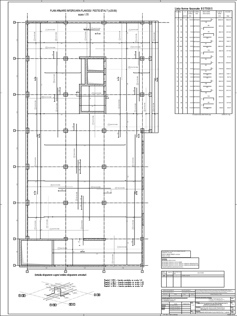 R60 Plan Armare Inferioara Placa Peste Etaj 7 (+28.69) PDF | PDF