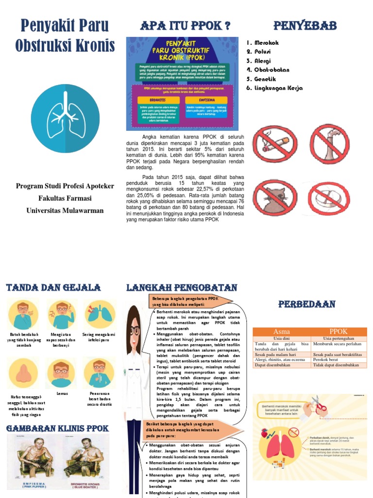 Leaflet PPOK | PDF