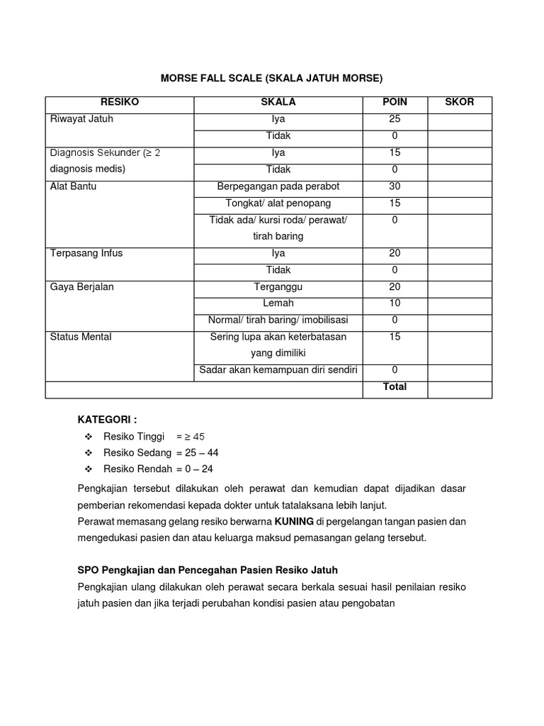 Morse Fall Scale | PDF