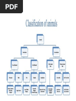Classification of Animals | PDF | Invertebrate | Skeleton
