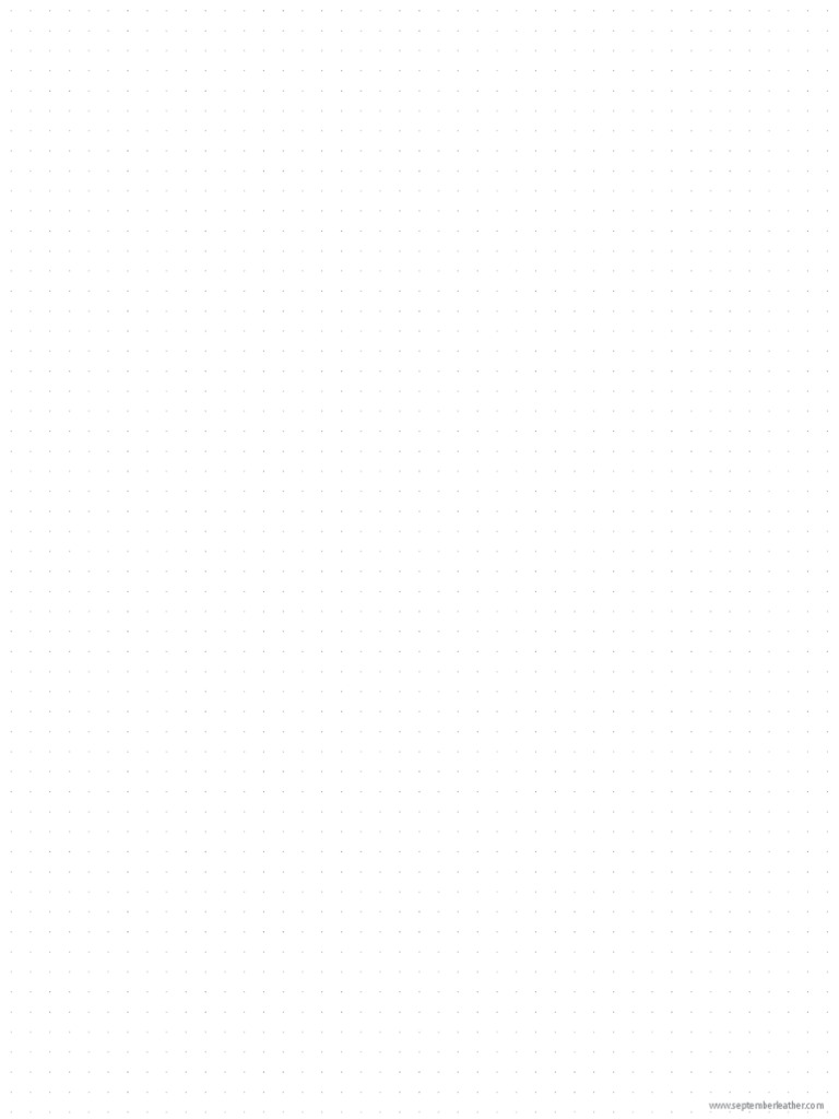 Dot Grid Pages Letter Size | PDF