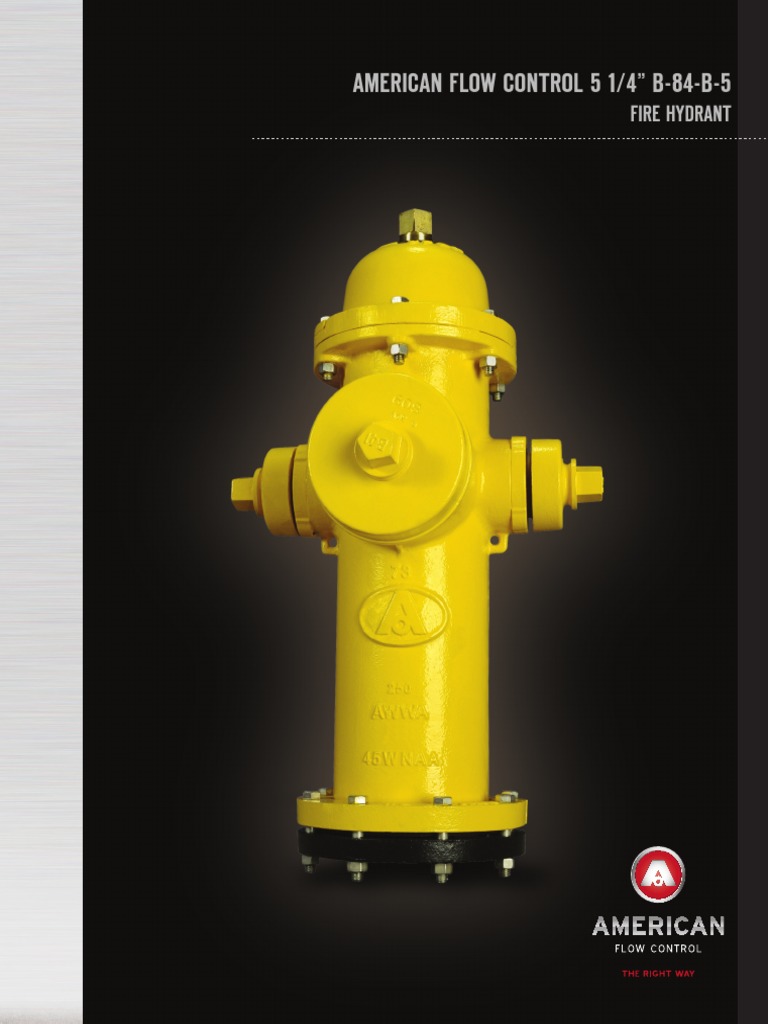 Akron Pitone Aquastream 4450 | PDF | Valve | Screw