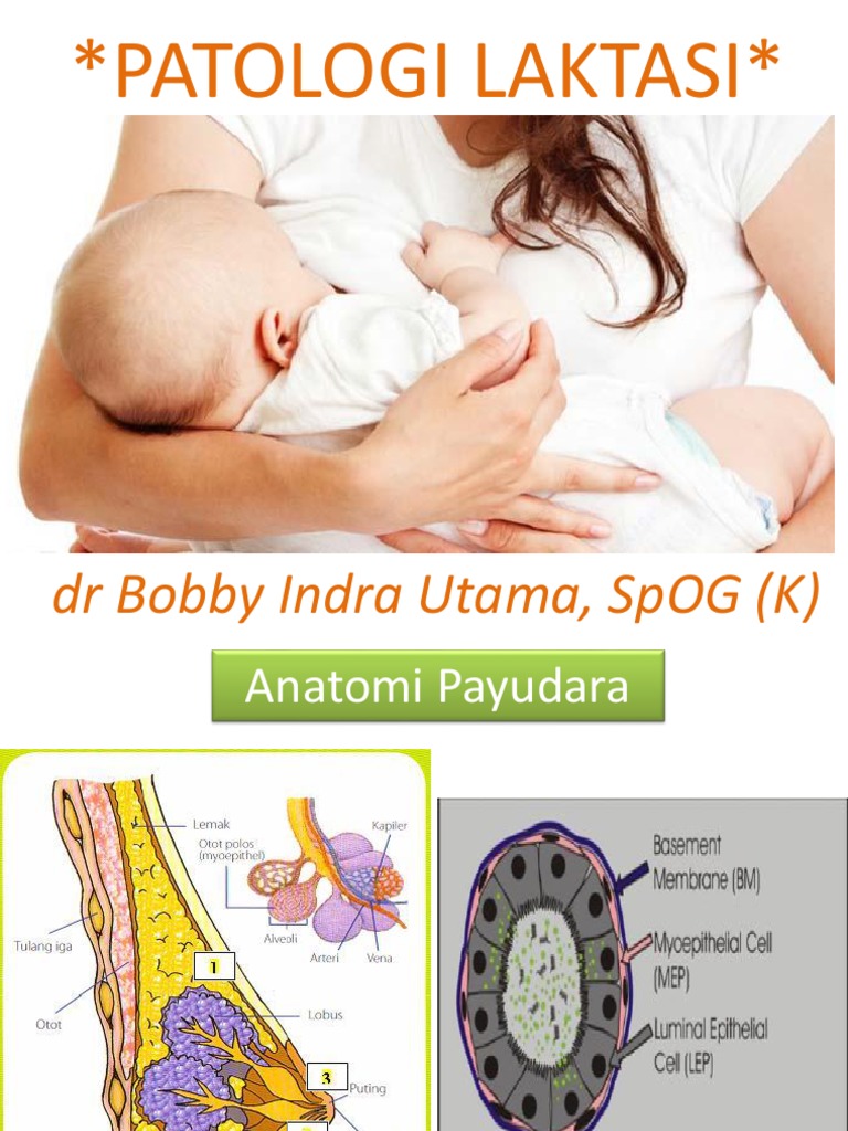 Infeksi Nifas PPT DR | PDF