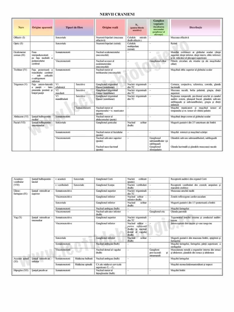 Nervii Cranieni TABEL PDF | PDF