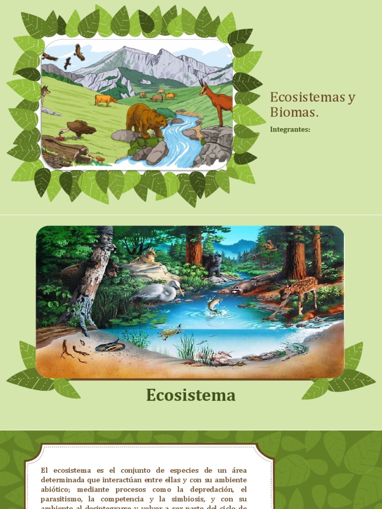 Ecosistemas y Biomas 1 | PDF | Ecosistema | Biodiversidad