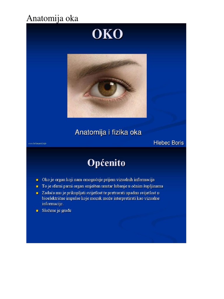 Anatomija Oka Oftamologija | PDF