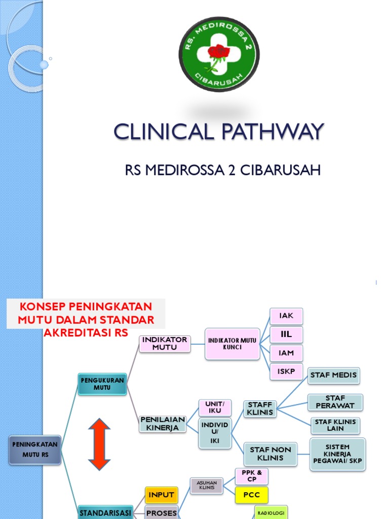 Clinical Pathway Fix | PDF
