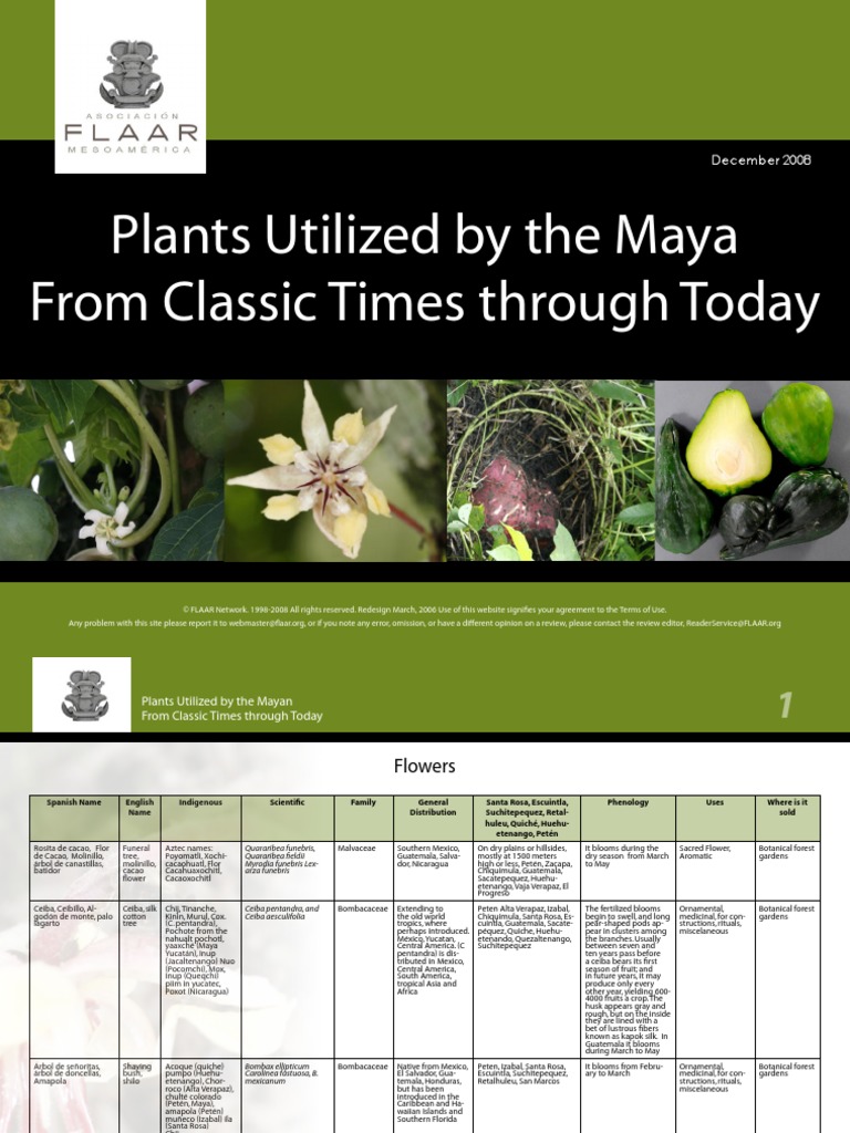 Plants Utilized by The Maya | PDF | Petén Department | Guatemala