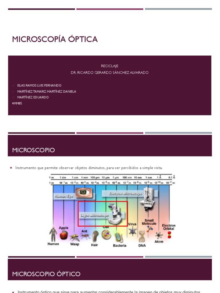 Microscopía Óptica | PDF
