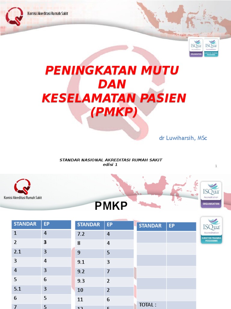 PMKP Program Improves Patient Quality and Safety | PDF