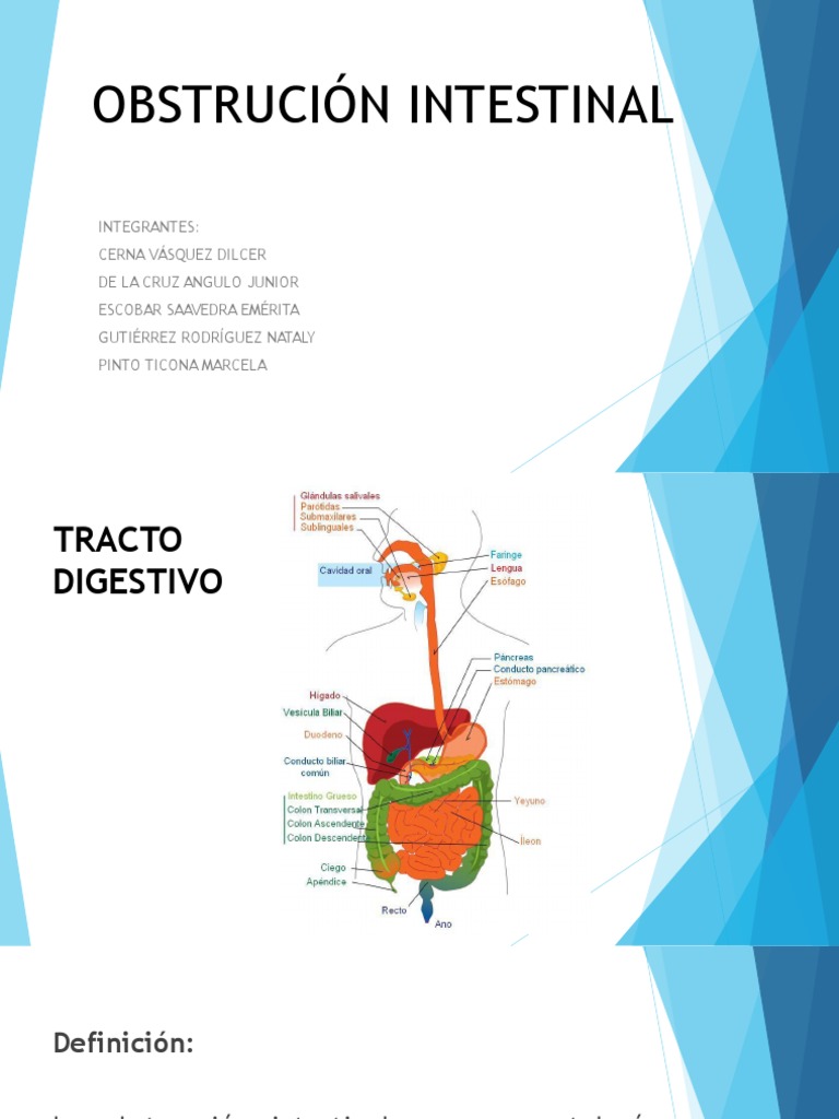 OBSTRUCCION INTESTINAL exposicion.pptx | Gastroenterología | Epidemiología