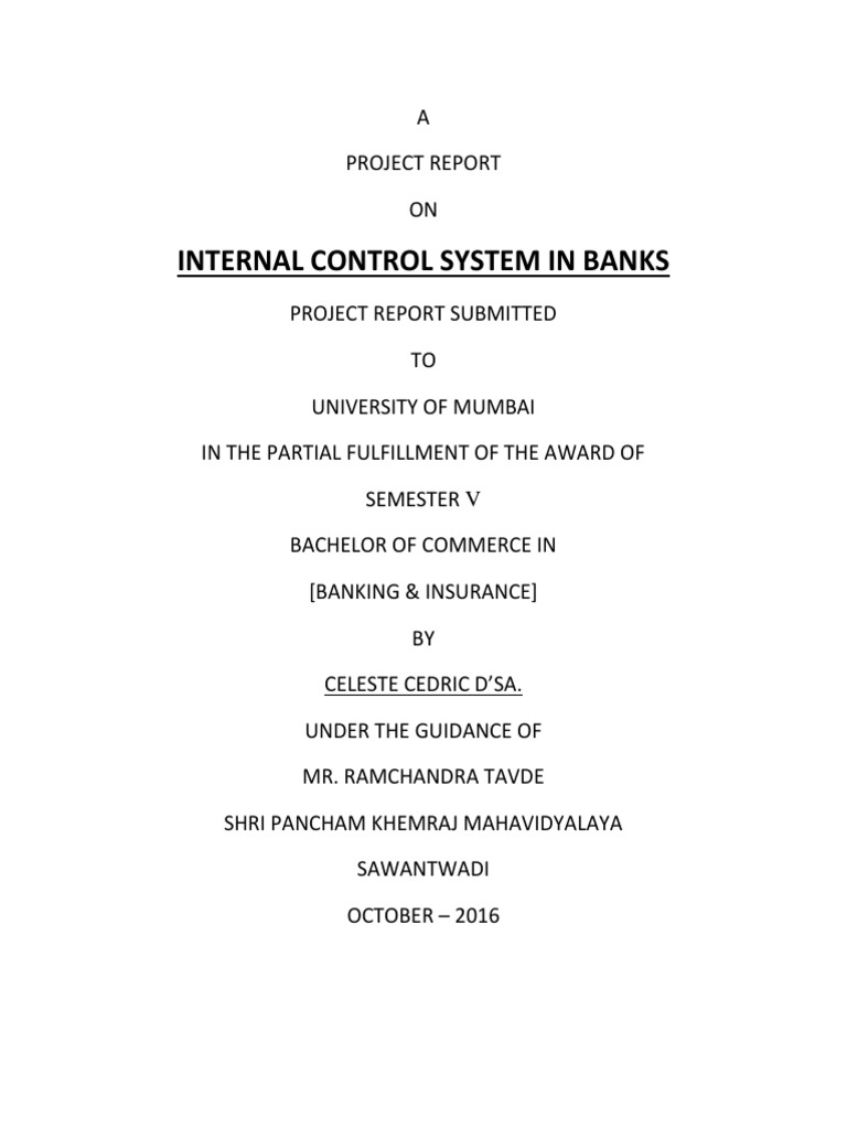 Internal Control System in Banks | PDF | Internal Control | Internal Audit
