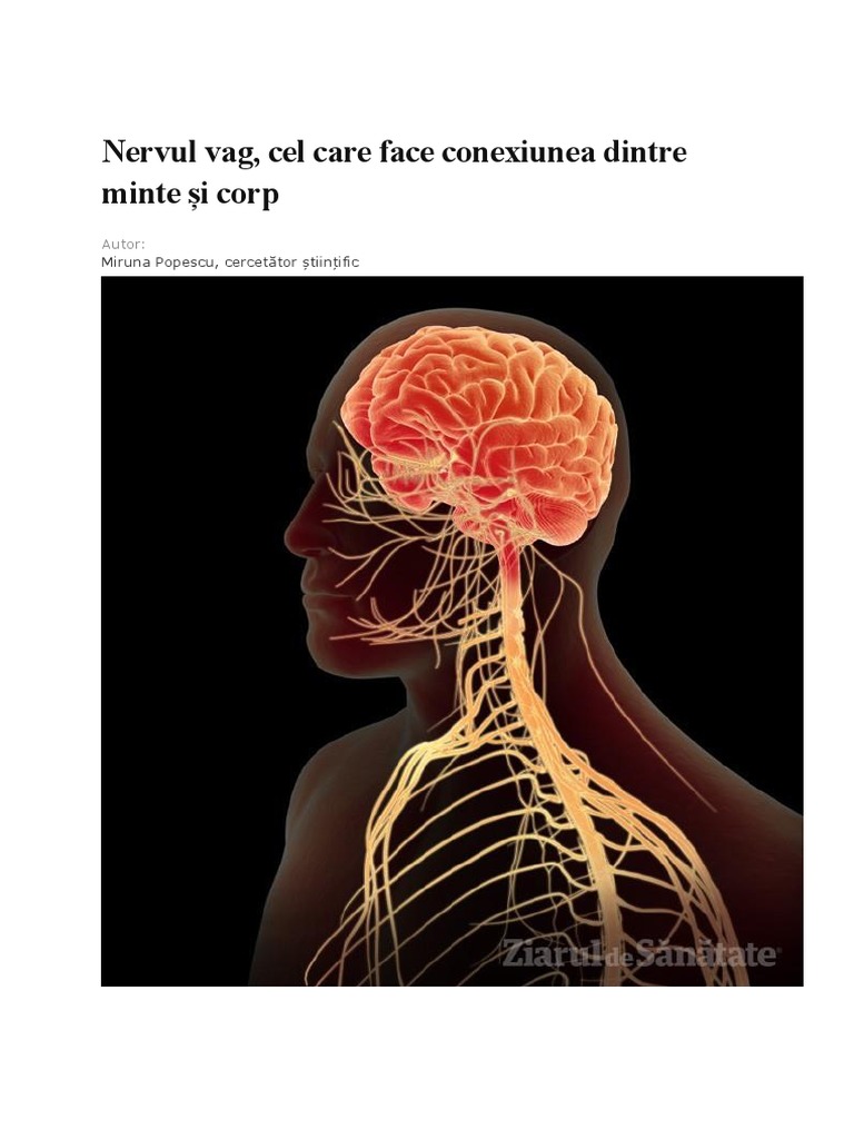 Nervul Vag
