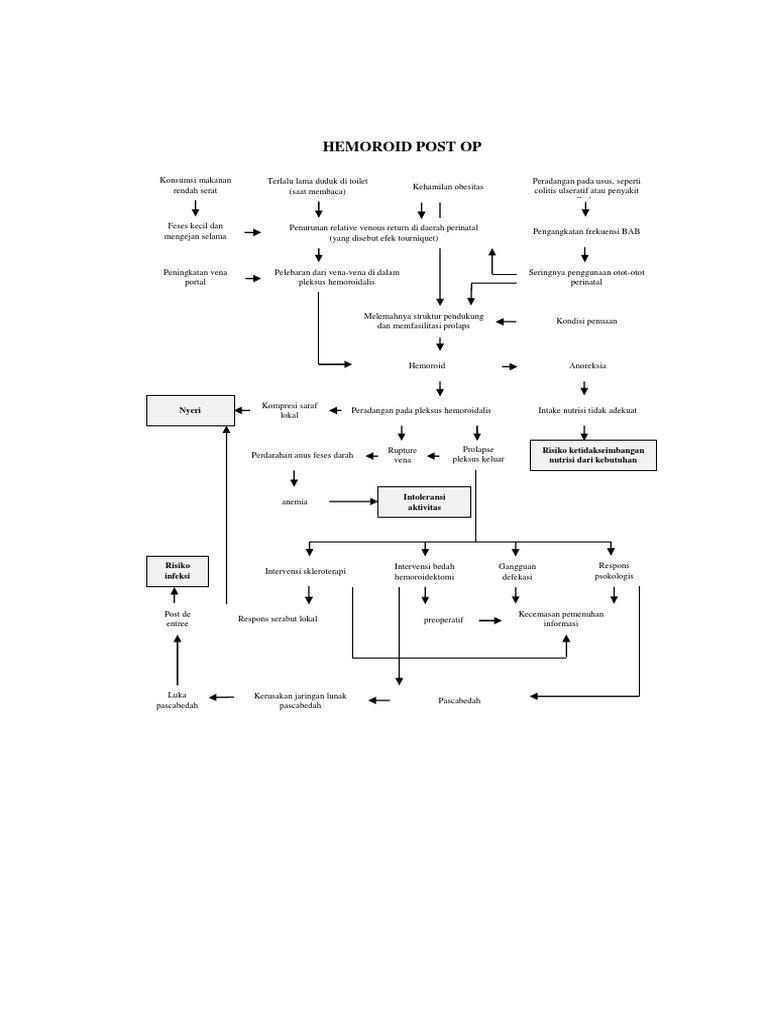 Pathway Hemoroid | PDF | Digestive Diseases