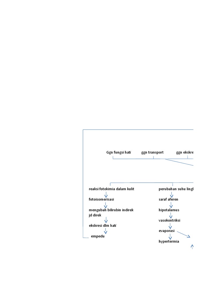 GGN Fungsi Hat GGN Transport GGN Ekskresi | PDF | Liver | Biomolecules