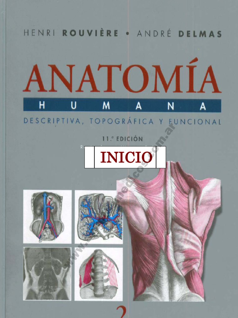 Ruviere - Tomo II - Portada | PDF