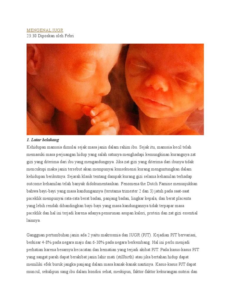 Mengenal Iugr | PDF