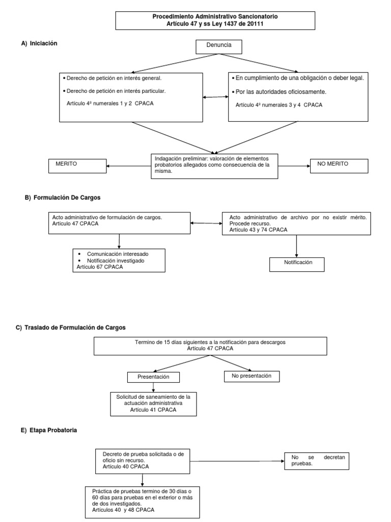 Estructura Del Procedimiento Administrativo Sancionador | PDF | Gobierno | Justicia