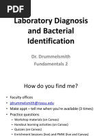 Bacterial ID Flowchart | PDF | Streptococcus | Staphylococcus