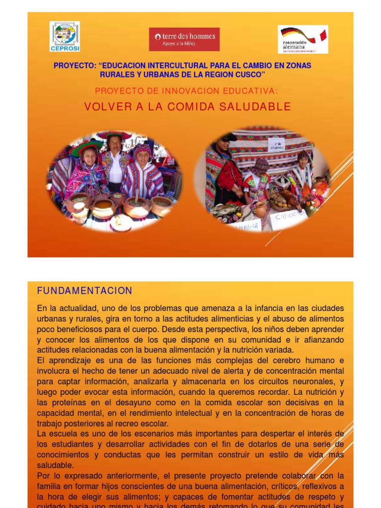 Proyecto Comida Saludable en Instituciones Educativas de Canchis ...