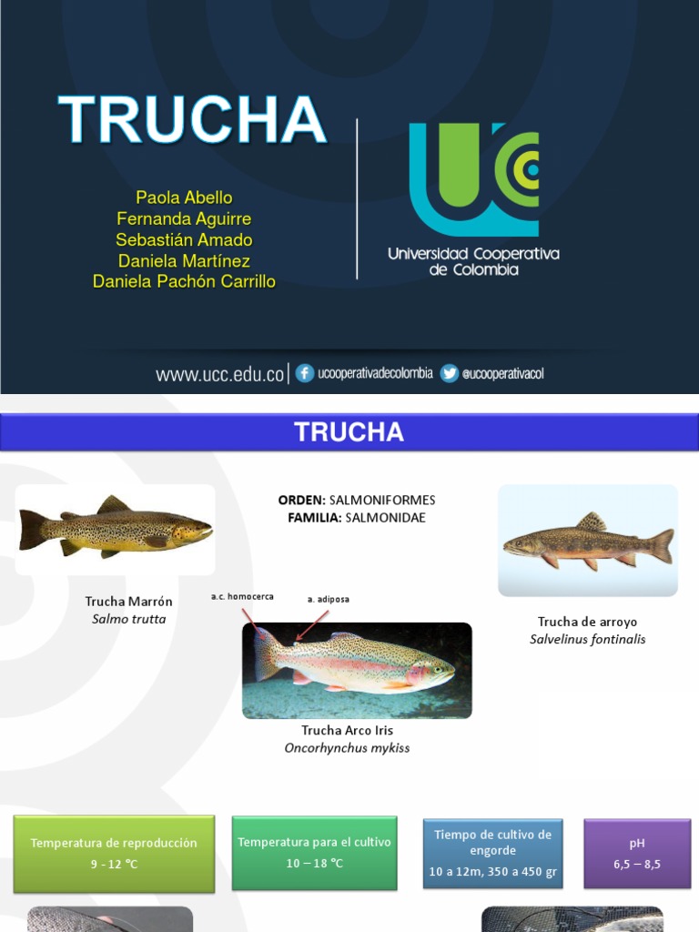 Producción y Acuicultura de Trucha en Colombia | PDF | Trucha | Acuicultura