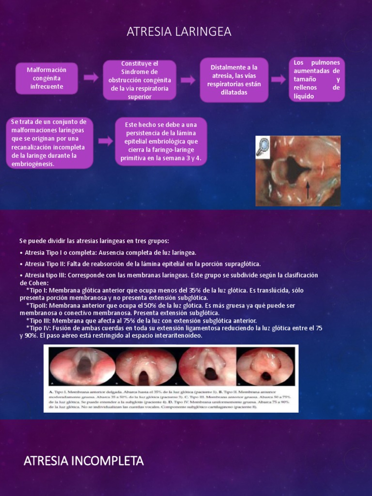 Atresia Laringea Parte Dante | PDF | Pulmón | Sistema respiratorio