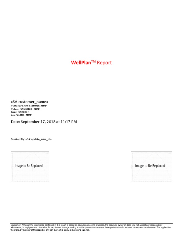 WellPlan Report | PDF | Chemical Engineering | Physical Quantities