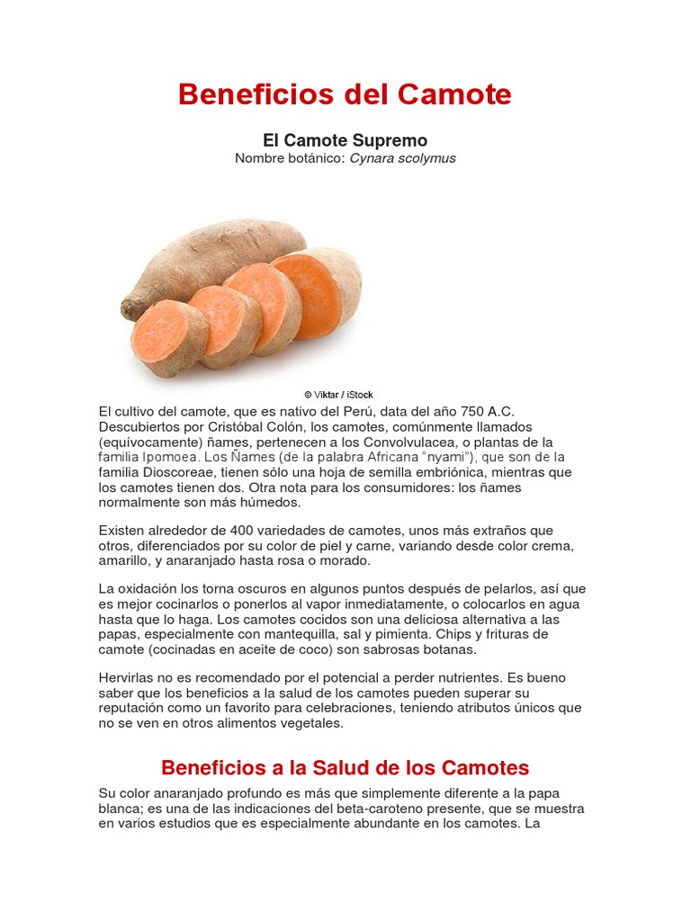 Camote y Beneficios Del Camote | PDF | Batata | Antioxidante