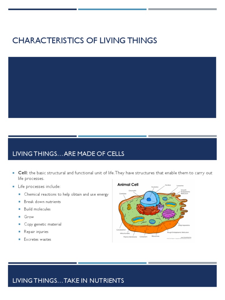 Characteristics of Living Things | PDF | Cell (Biology) | Stimulus ...