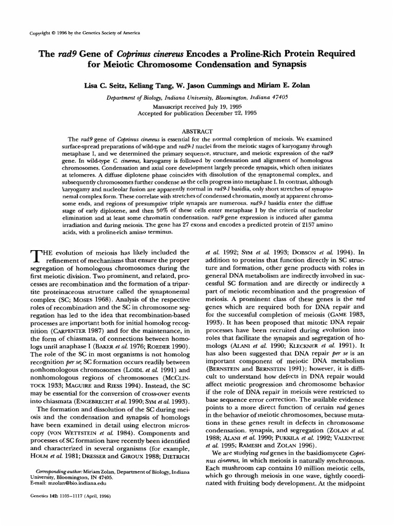 Seitz 1996 Genet The Rad9 Gene of CC Encodes A Proline-Rich Prot ...