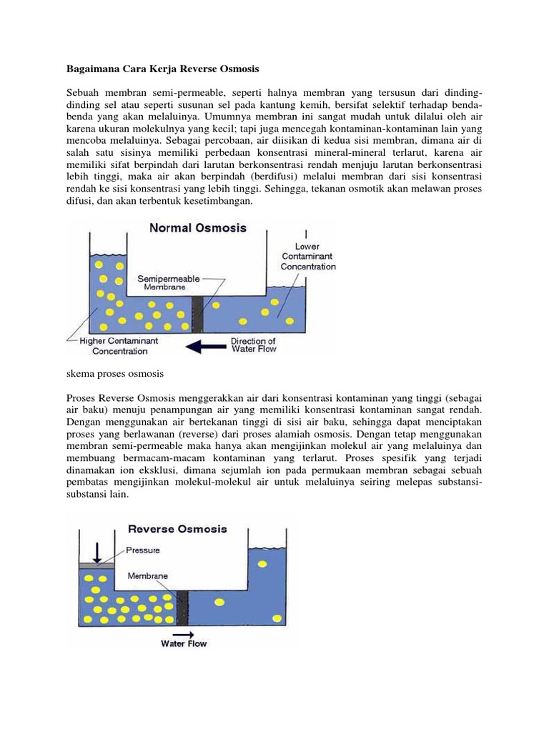 Bagaimana Cara Kerja Reverse Osmosis | PDF