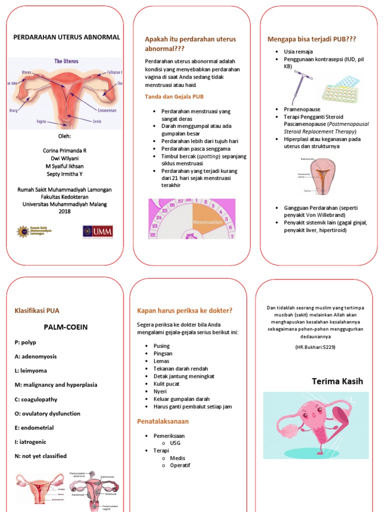 Perdarahan Uterus Abnormal | PDF