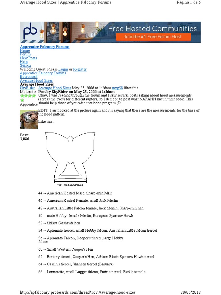Thread 1687 Average-Hood-Sizes | PDF | Falconry | Hawk